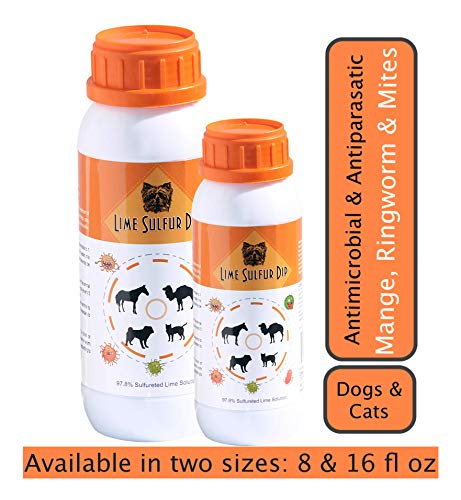 Classic's Lime Sulfur Dip - Pet Care for Itchy and Dry Skin - Xtra Strength Formula - Safe Solution for Dog, Cat, Puppy, Kitten, Horse (16 fl oz)