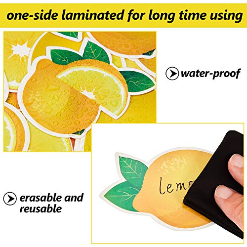 60 Pieces Lemon Cut Out Accents Mini Lemon Cutouts Paper Decorations Versatile DIY Fruit Sign Cutouts for Summer Bulletin Board Classroom School Party