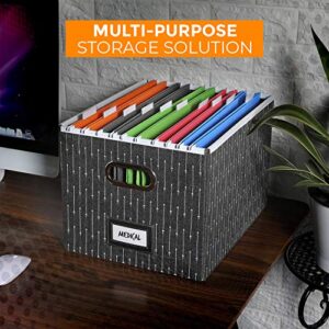 TRIZO Collapsible File Storage Organizer Box - Decorative Home & Office Portable Small Filing System for Folder & Documents (Set of 2)