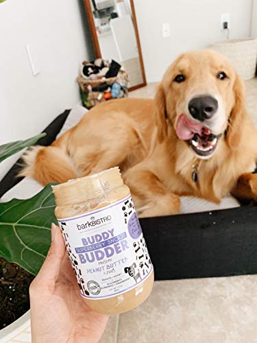 Bark Bistro Company, Superberry Snoot, 100% Natural Dog Peanut Butter, Healthy Peanut Butter Dog Treats, Stuff in Toy, Dog Pill Pocket, Made in USA (17oz jar)