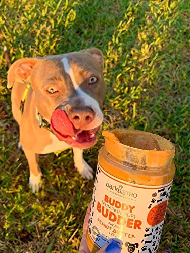 BUDDY BUDDER Bark Bistro Company, Superberry Snoot + Barkin Banana + Pumpkin Pup, 100% Natural Dog Peanut Butter, Healthy Dog Treats - Made in USA (Set of 3 / 17oz)