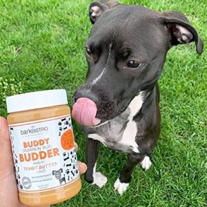 BUDDY BUDDER Bark Bistro Company, Superberry Snoot + Barkin Banana + Pumpkin Pup, 100% Natural Dog Peanut Butter, Healthy Dog Treats - Made in USA (Set of 3 / 17oz)