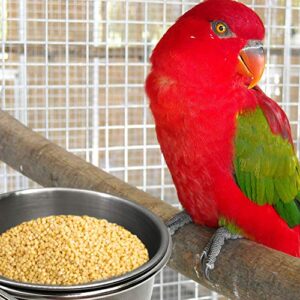 WACLTE Bird Bowl & Chewing Toy Set - 2 Pack 3.9" Stainless Steel Feeder Cups with Clamp for Cage - Funny Ladder Hanging Toy with Bell - for Parrot, Parakeet, Budgies, Conure Ferrets, Small Animal