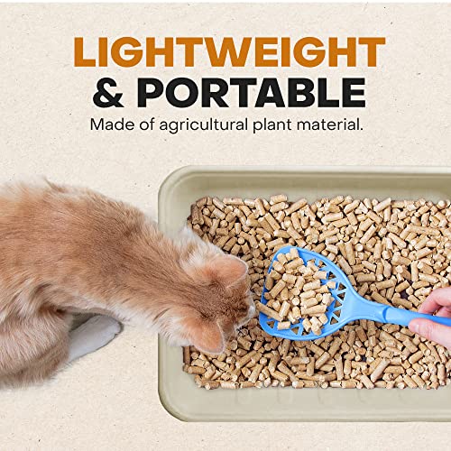 Eco Friendly Disposable Litter Box 5 Count (Suitable for Cat, Hamster, Guinea Pig, Mice, Rabbit) Cat Litter Tray Sifting Litter Box Cat Litter Liners (1 Extra Litter Box Based on Availability)