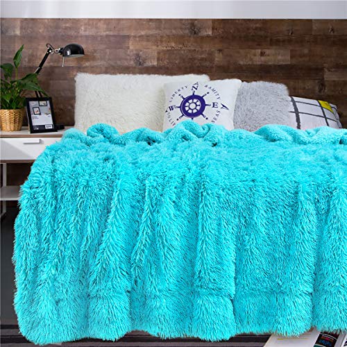 Andecor Soft Fluffy Faux Fur Throw Blanket - 50 x 60 Inches Plush Lightweight Warm Shaggy Fleece Blankets for Bed Couch Sofa Chair Home Decorative, Teal Blue