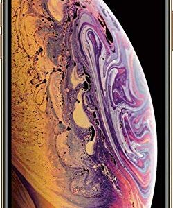 Apple iPhone XS Max, 64GB, Gold - Unlocked (Renewed Premium)