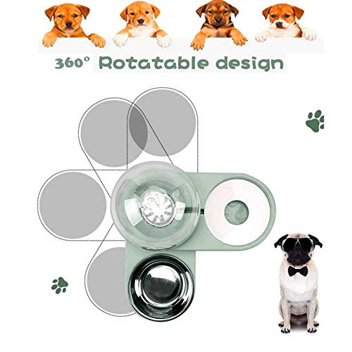 PetFun Double Dog Cat Bowls Automatic Gravity Water Food Dispenser, No-Spill Dog Water Bowl & Dish Stainless Steel Durable & Detachable Feeder Bowl for Cats & Small or Medium Size Dogs