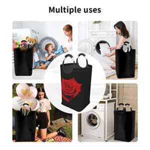 Bluepop Red Rose On Black Laundry Hamper Basket Bucket Foldable Dirty Clothes Bag Washing Bin Toy Storage Organizer for College Dorms, Kids Bedroom,Bathroom