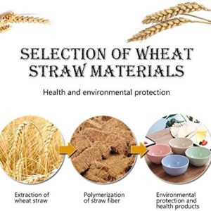 Unbreakable reusable mini Bowls Eco-Friendly Wheat Straw Dinner/Dessert/Salad Bowls Lightweight Noodle Bowl,Dishwasher & Microwave Safe bowls sets 4 Pieces (4.7')