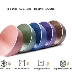 Unbreakable reusable mini Bowls Eco-Friendly Wheat Straw Dinner/Dessert/Salad Bowls Lightweight Noodle Bowl,Dishwasher & Microwave Safe bowls sets 4 Pieces (4.7')