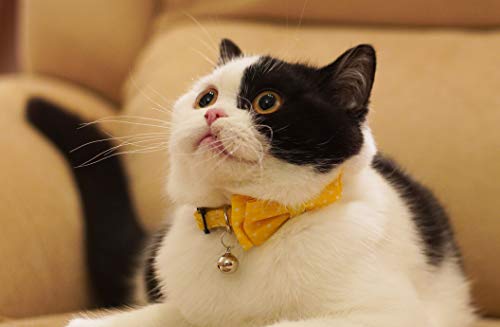 Gyapet Cat Collar Yellow with Bowtie Bell Safety Buckle Breakaway Kitten Puppy 7-11in Dot Colorful Adjustable Dot-Yellow