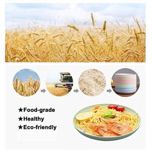 N/ A 4 Pcs 7 Inch Lightweight Wheat Straw Plates, Unbreakable Dinner Plate, Toddler, Anti-fallen, Dishwasher Microwave Safe Plates (4 colors)