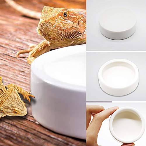 4 Pack Worm Dish Reptile Food Bowl, Ceramics Made, Lizard, Gecko Food Dish(2.7inch)