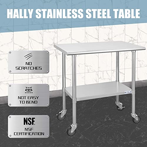 Hally Stainless Steel Table for Prep & Work 24 x 36 Inches with Caster Wheels, NSF Commercial Heavy Duty Table with Undershelf and Galvanized Legs for Restaurant, Home and Hotel