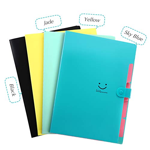 SKYDUE 4 Packs Expanding File Folder with 168 Labels,5 Pockets A4 Letter Size Accordion Folder Paper Organizer for School and Office (4 Pack 2)