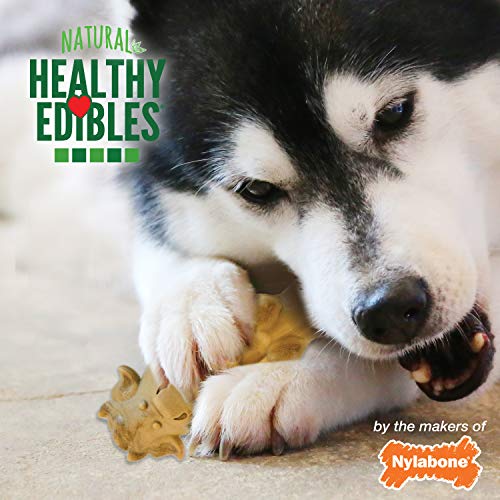 Nylabone Healthy Edibles Farm Friends Grain Free Dog Treats Beef, Chicken, Bacon, & Lamb Large/Giant (2 Count)