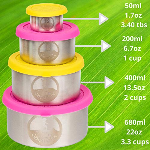 JaceBox Snack Containers for Kids - Stainless Steel Food Containers Leak proof Plastic FREE Silicone Lid Turtle Design