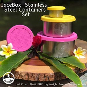 JaceBox Snack Containers for Kids - Stainless Steel Food Containers Leak proof Plastic FREE Silicone Lid Turtle Design