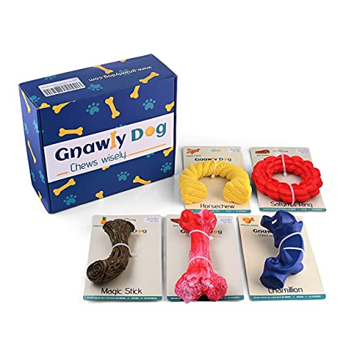 GNAWLY DOG Chew Toys for Aggressive Chewers, 5 Pack, Flavor Infused Heavy Duty Rubber Bones, Ring, Antlers, Ropes and Animal, Indoor and Outdoor Play for Medium to Large Breeds