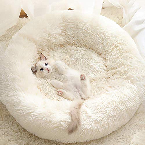 Gavenia Cat Beds for Indoor Cats,20’’x20’’ Washable Donut Cat and Dog Bed,Soft Plush Pet Cushion,Waterproof Bottom Fluffy Dog and Cat Calming and Self-Warming Bed for Sleep Improvement,White