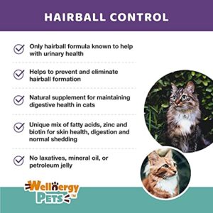 Natural Hairball Control Chews for Cats – Hairball Remedy & Aid with Omega 3 6 Fatty Acids, Zinc, Biotin, Cranberry, and Fiber. Promotes Skin & Coat, Digestive, Urinary Health. 70ct