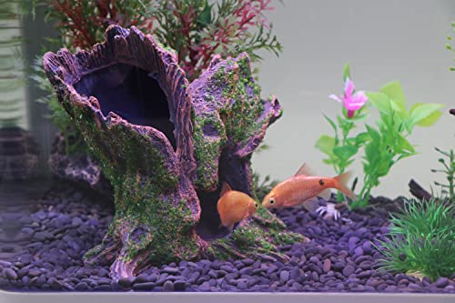 AQUA KT Aquarium Landscape Tree Stump Trunk Hollow Betta Cichlid Cave Rocks for Fish Hiding Tank Decoration Decorations