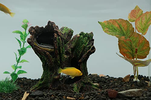 AQUA KT Aquarium Landscape Tree Stump Trunk Hollow Betta Cichlid Cave Rocks for Fish Hiding Tank Decoration Decorations