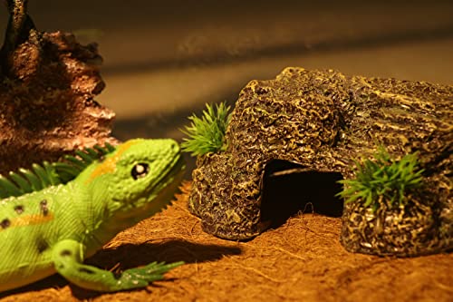 AQUA KT Reptile Cave Hide Natural Hiding Place for Terrarium Amphibian Lizard Snake Bearded Dragon Frog Leopard Terrestrial Gecko Cave