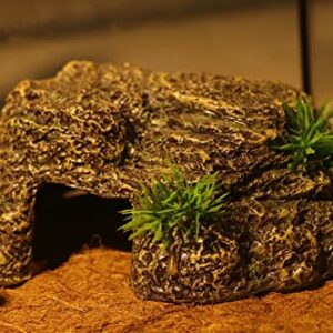 AQUA KT Reptile Cave Hide Natural Hiding Place for Terrarium Amphibian Lizard Snake Bearded Dragon Frog Leopard Terrestrial Gecko Cave