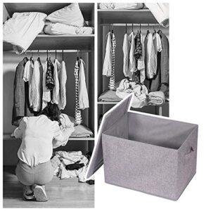 TENABORT 2 Pack Large Foldable Storage Box with Lids [16.5x11.8x11.8] Fabric Storage Cube Organizer Cloth Containers Linen Bins Baskets for Closet Clothes Clothing Bed Room