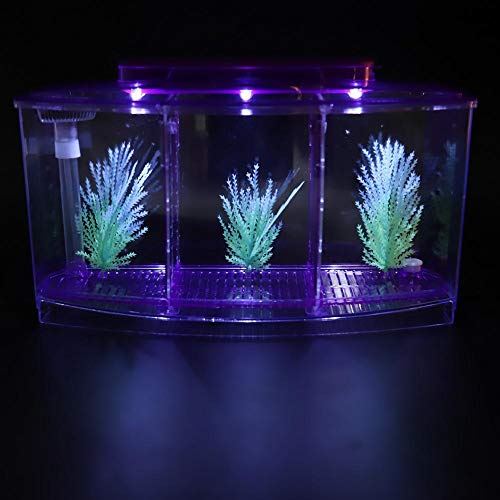 Fish Tank, Adjustable Light Isolation Acrylic Small Aquarium, with LED Light for Small Fishes for Betta with Water Change Valve(Purple)