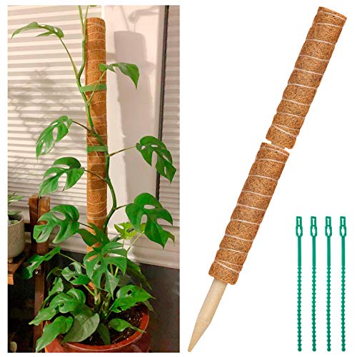 Moss Poles for Climbing Plants, 2 Pcs 12'' Coir Pole (Total 20'') with 4 Pcs Adjustable Plant Ties for Creepers Plant Support Extension, Climbing Plants Support Indoor