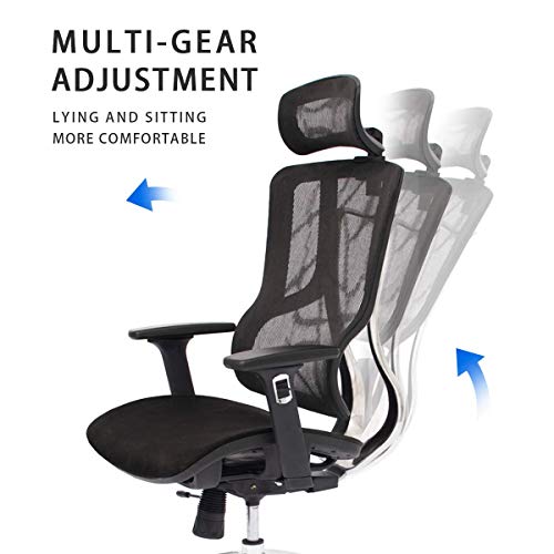 CangLong Executive Chair with 2D Adjustable Headrest, Ergonomic Office Chair with Mesh Seat and High Back, Desk Chair with 3D Armrest, Multifunction for Relaxation, BIFMA Certification No 5.1, Black