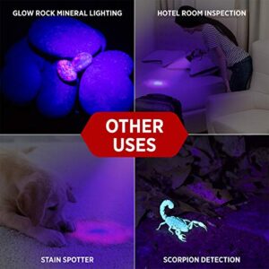 GearLight UV Flashlight Black Light from 68 LED Blacklight Flashlight Dog/Cat Pet Urine Detector, Scorpion, Bed Bug, Resin Curing, Dog Stain, and Carpet Odor Eliminator Remover, ID Checking_XR68