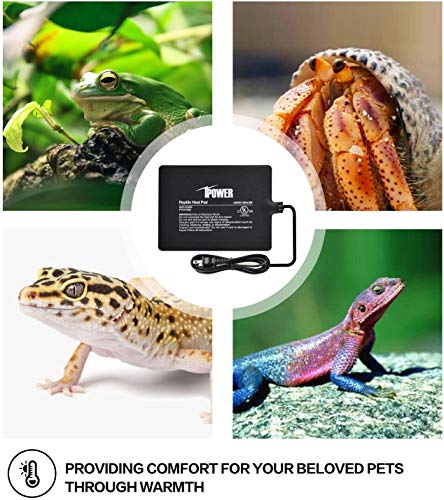 iPower PTHTPDCTRLV2HTPDM 6"x8" Reptile Heating Pad Under Tank Terrarium Heat Mat with Digital Thermostat Temperature Controller for Small Animals