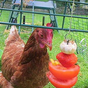 Vehomy Chicken Veggies Skewer Fruit Holder for Hens Pet Chicken Vegetable Hanging Feeder Toy for Hens Large Birds 3PCS