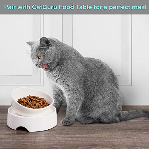 CatGuru Cat Food Bowl, Ceramic Cat Bowls, No Spill Cat Bowl, Whisker Stress Free Cat Food Bowls, Non Skid Cat Bowls for Food and Water, Includes Silicone Non-Slip Mat (High-Low, White)