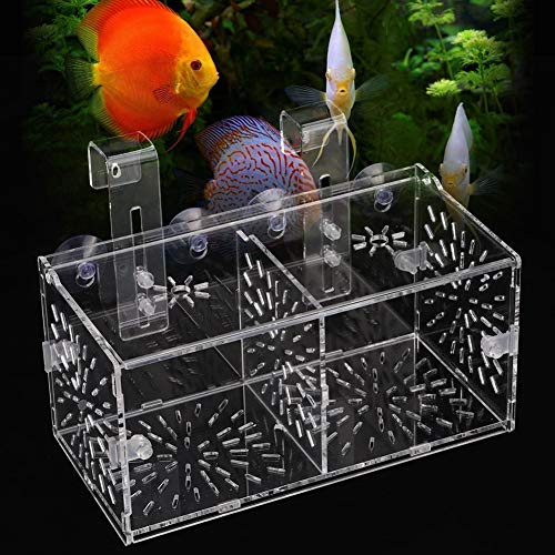 Fish Separation Breeder Box, Acrylic Fish Tank Breeding Isolation Box Aquarium Hatchery Incubator Holder(B-20x10x10cm)