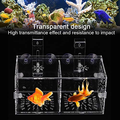 Fish Separation Breeder Box, Acrylic Fish Tank Breeding Isolation Box Aquarium Hatchery Incubator Holder(B-20x10x10cm)