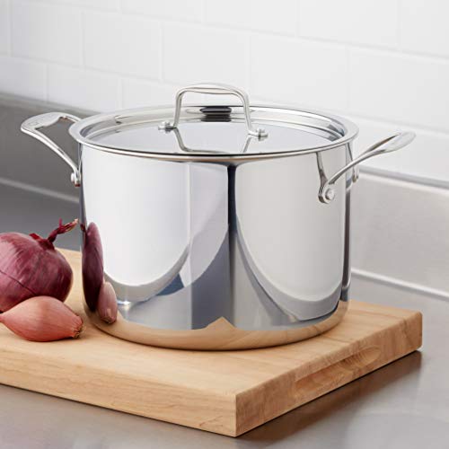 AmazonCommercial Tri-Ply Stainless Steel Stock Pot with Lid, 8 Quart