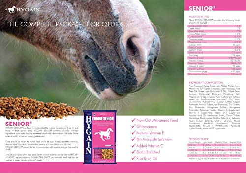 Hygain Senior - Highly Palatable Non-Oat Micronized Sweet Feed for Horses