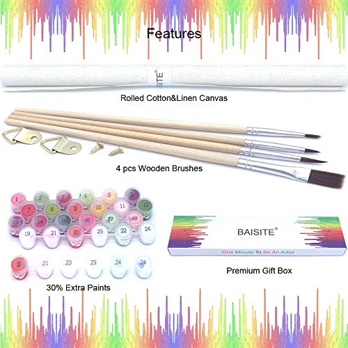 BAISITE Paint by Numbers for Adults Beginners and Kids,16" Wx20 L Canvas Pictures Drawing Paintwork with 4 Pcs Wooden Paintbrushes,Acrylic Pigment Poppy Flowers-BSC011