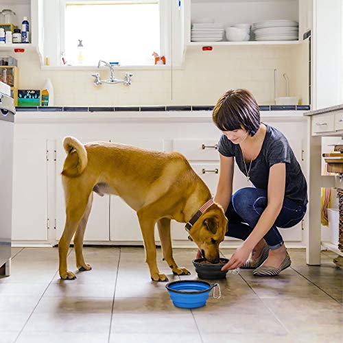 Kytely Large Collapsible Dog Bowl 2 Pack, 34oz Foldable Dog Travel Bowls, Portable Dog Water Food Bowl with Clasp, Pet Cat Feeding Cup Dish for Traveling, Walking, Hiking (Black+Blue)