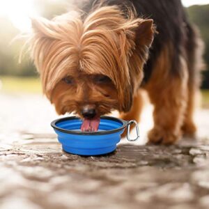 Kytely Large Collapsible Dog Bowl 2 Pack, 34oz Foldable Dog Travel Bowls, Portable Dog Water Food Bowl with Clasp, Pet Cat Feeding Cup Dish for Traveling, Walking, Hiking (Black+Blue)