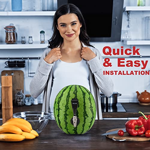 Watermelon Tap Beverage Dispenser Kit - Fruit Keg Tapping Kit & Coring Tool - Juice DIY Spigot, Beer Faucet, Great Spout to Turn Halloween Pumpkins into Ice Tea & Alcohol Drink Party Cocktails