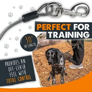 Mighty Paw Cable Tie Out for Dogs | 30’ Braided Steel Black Tieout. Chew Proof Lead for All Sized Pets. Great for Yard, Camping, and Outdoors. an Off-Leash Feel with Total Control (1/8", Up to 60lbs)