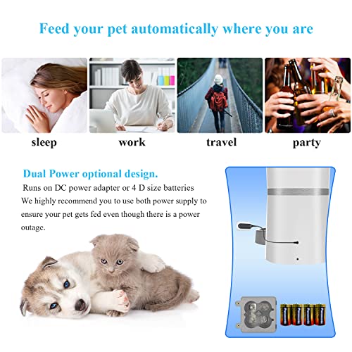 Automatic Cat Feeder, WellToBe Pet Feeder Food Dispenser for Cat & Small Dog with Two-Way Splitter and Double Bowls, up to 6 Meals with Portion Control, Voice Recorder - Battery and Plug-in Power