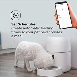 Home Zone Pet Automatic Feeder - Smart Wireless Pet Feeder for Small Dogs and Cats, 6L