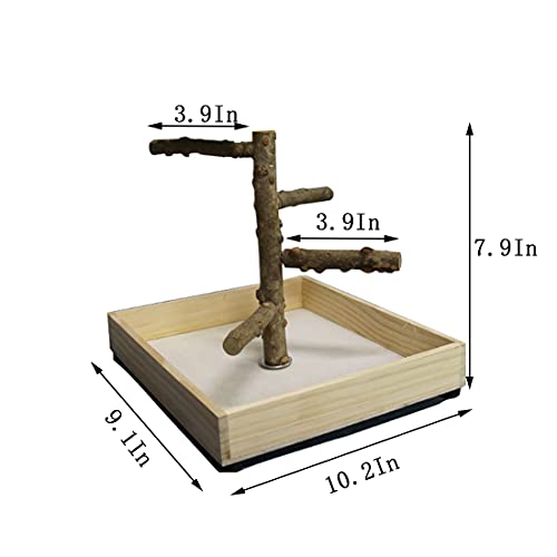 Hamiledyi Bird Perch Stand Tabletop,Parrot Playground Bird Gym Natural Wooden Perch PlayStand Platform for Parrots Parakeets Canaries Cockatiels Conure Lovebirds