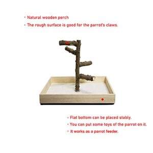 Hamiledyi Bird Perch Stand Tabletop,Parrot Playground Bird Gym Natural Wooden Perch PlayStand Platform for Parrots Parakeets Canaries Cockatiels Conure Lovebirds